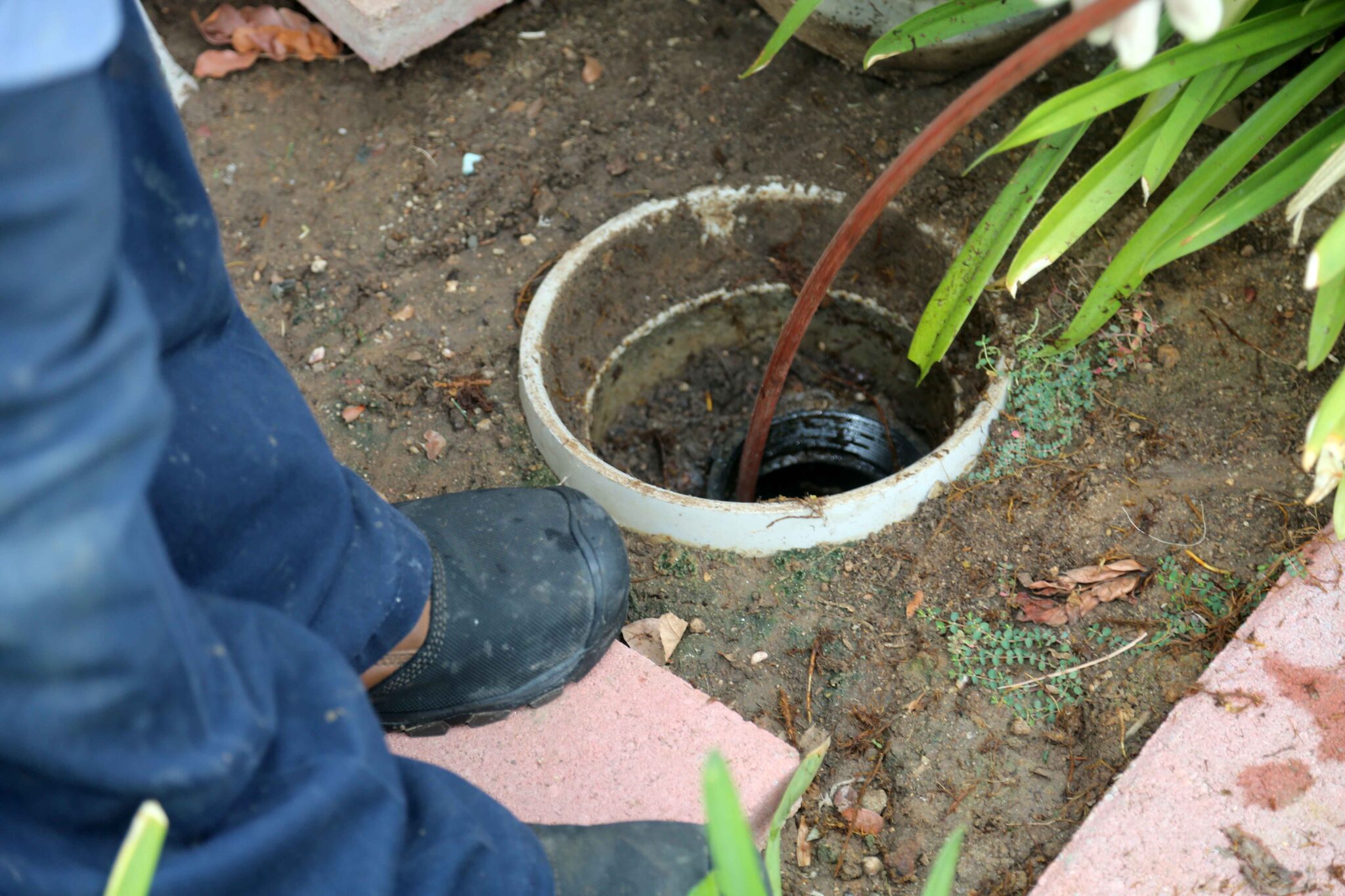 Importance of Sewer Line Cleanouts Explained